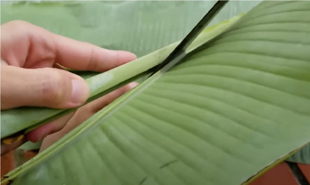 Cách Làm Bánh Giò Mềm Mịn Siêu Ngon - Thật Là Ngon